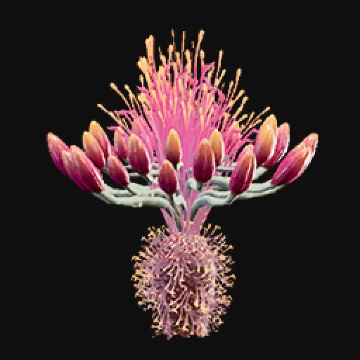 Dune Awakening Raw Resources: Agave Seeds