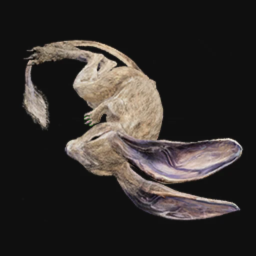 Dune Awakening Raw Resources: Mouse Corpse