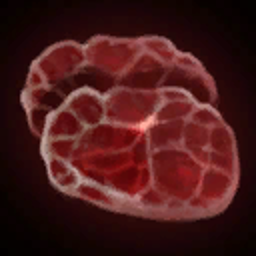 Fractured Online Item: Raw Bear Meat