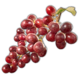 Pax Dei Consumable: Red Grapes