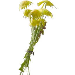 Pax Dei Item: Dandelion