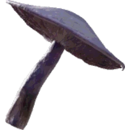 Pax Dei Consumable: Fools Webcap