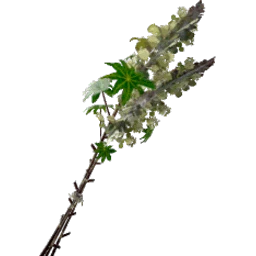 Pax Dei Recipe: Castor Extract