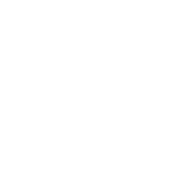 Pax Dei Spell: Barrage