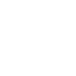 Pax Dei Spell: Taunt