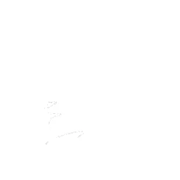 Pax Dei Spell: Pacify