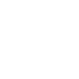 Pax Dei Spell: Revoke